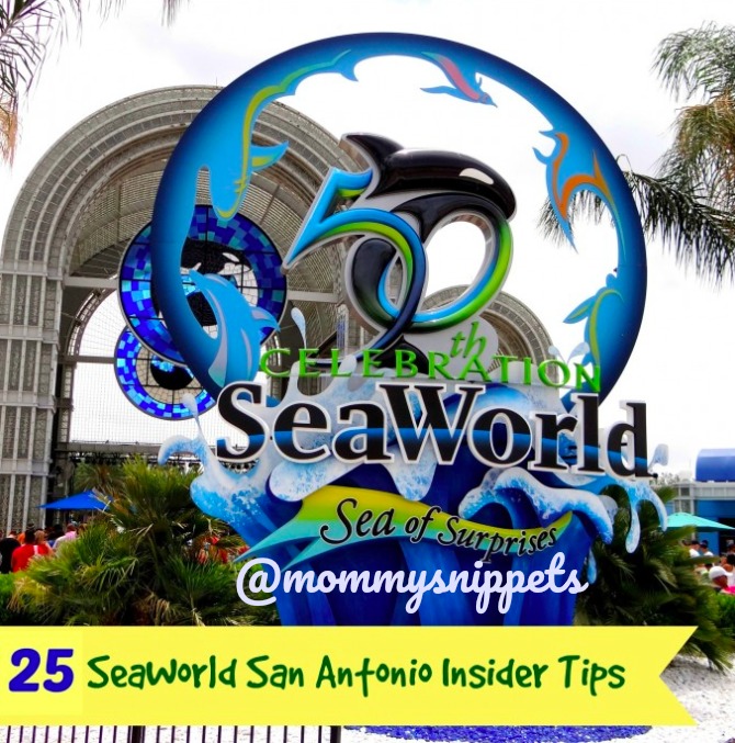 Seaworld SA | Texas Travel Talk