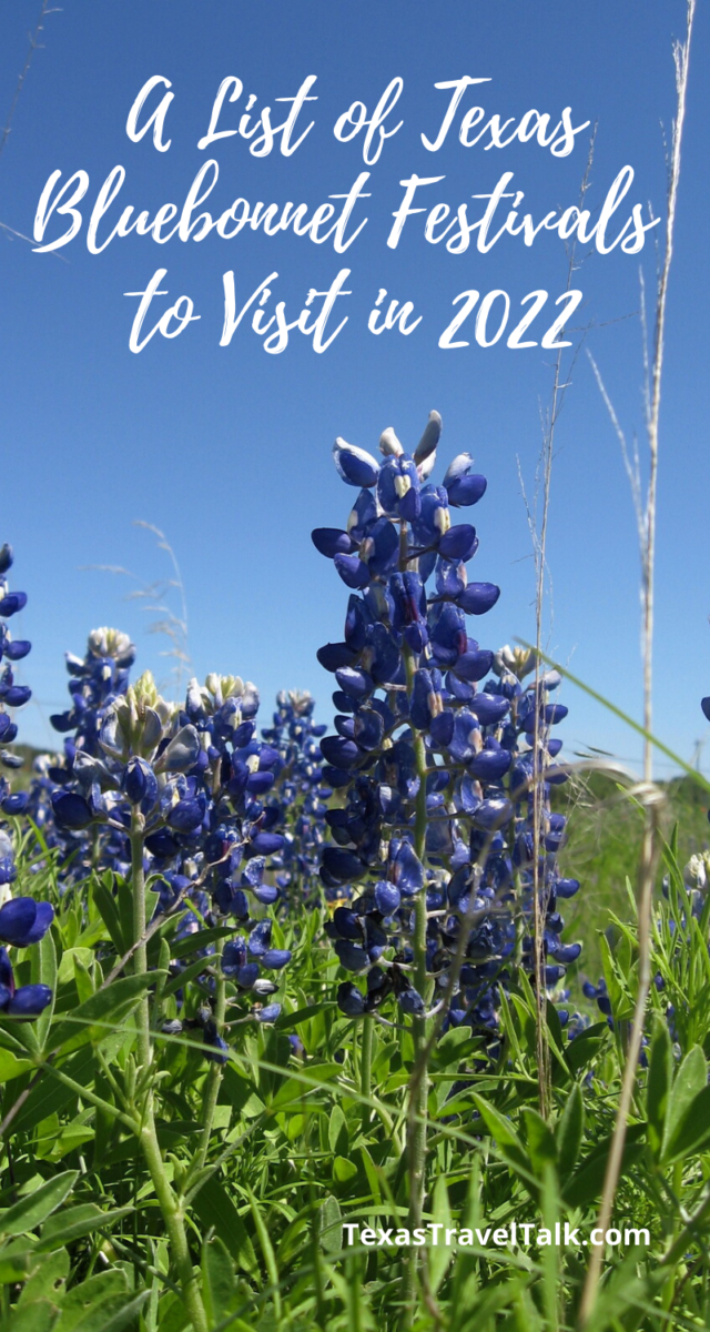 Bluebonnet Festivals in Texas to Visit 2023 — Texas Travel Talk