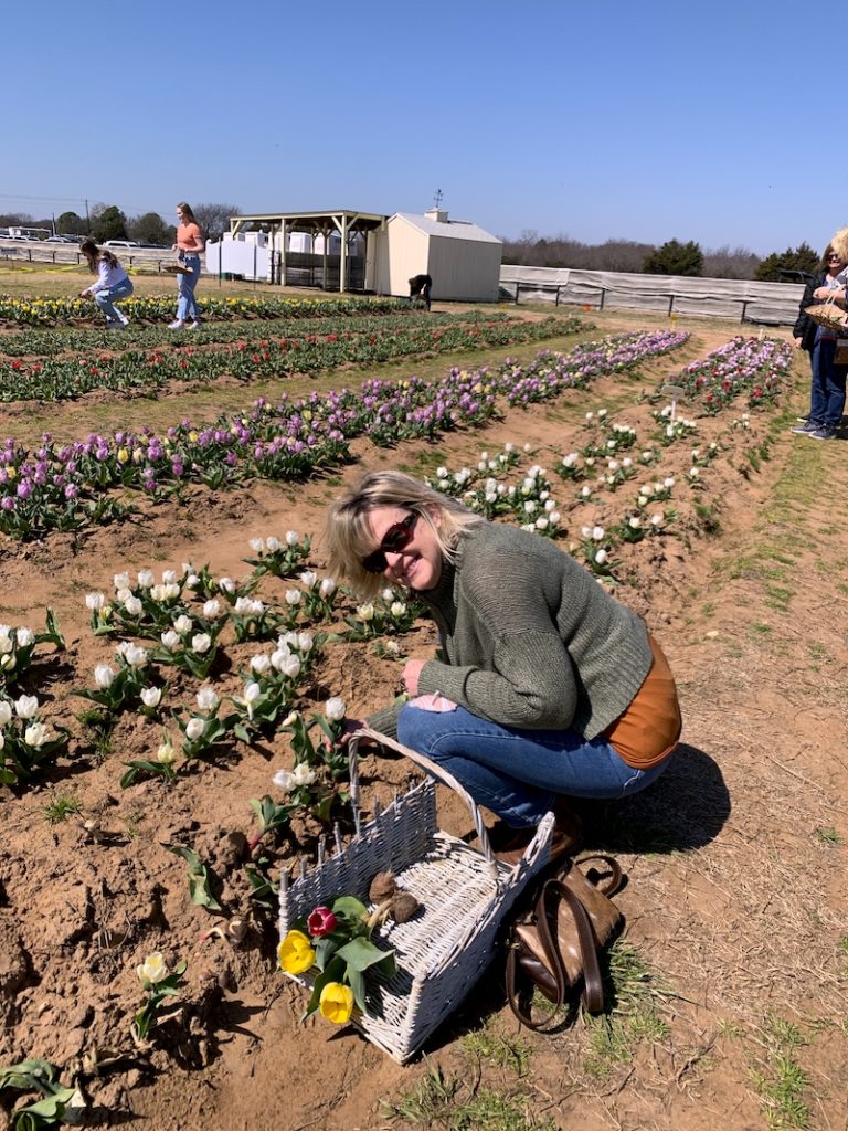 Spring Break Ideas In Texas for 2025 For Families (UPD 2025) | Texas ...