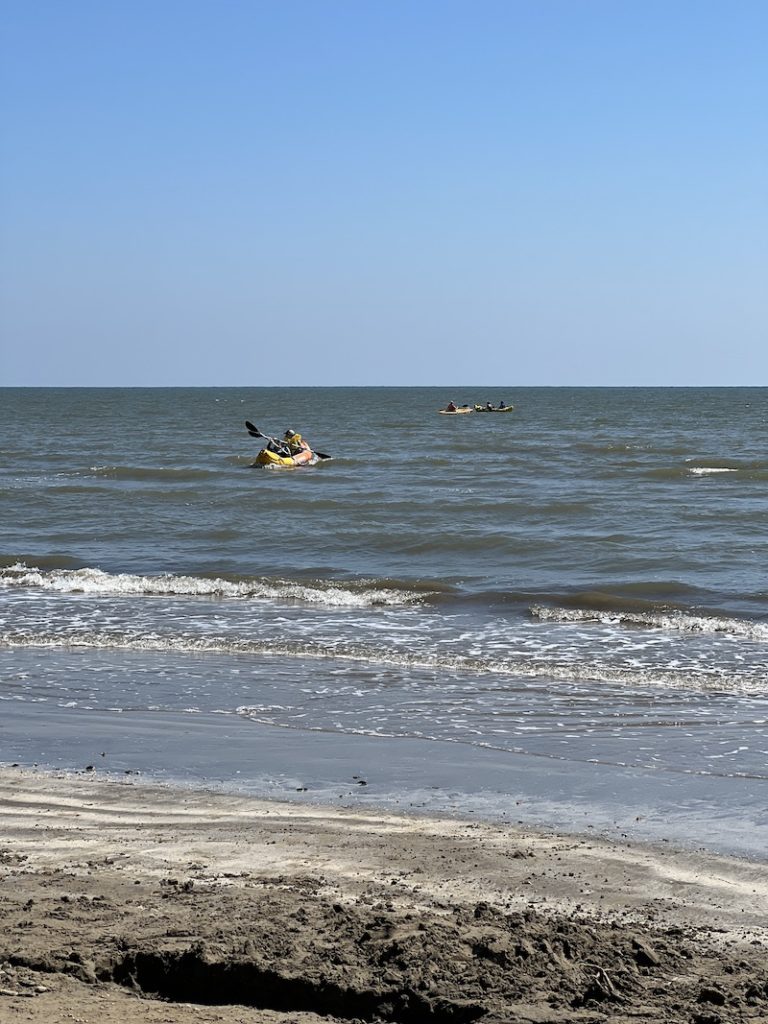 Port-Arthur-Sea-Rim-State-Park-beach | Texas Travel Talk