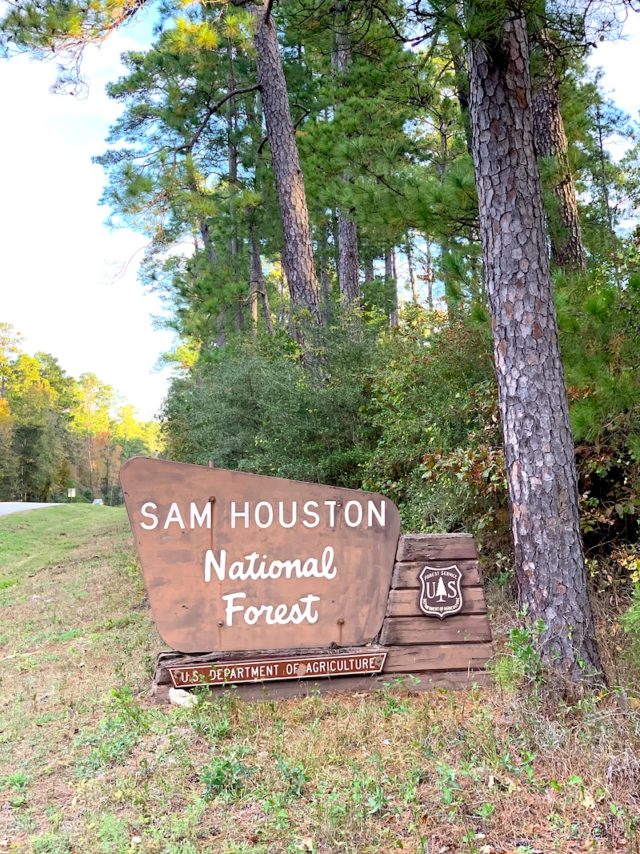 15 Best Things To Do In East Texas In Spring | Texas Travel Talk