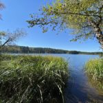 Tyler-State-Park — Texas Travel Talk