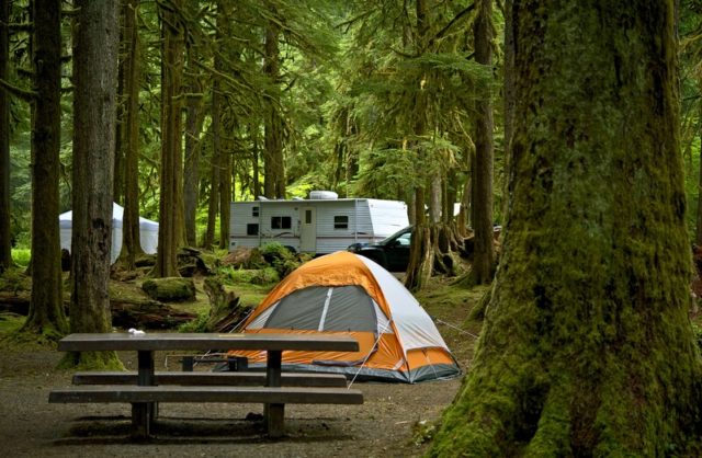 12 Best RV Campgrounds In East Texas (UPD) | Texas Travel Talk