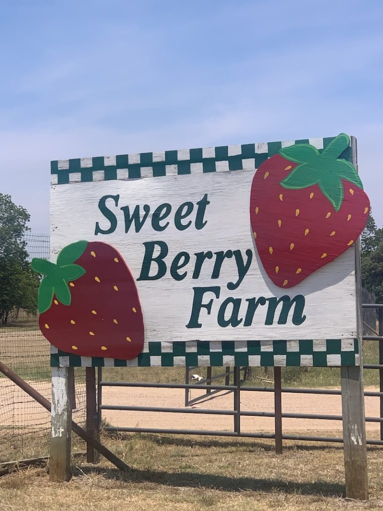 Pick Your Own Berry Farms In Texas UPD 2025 | Texas Travel Talk