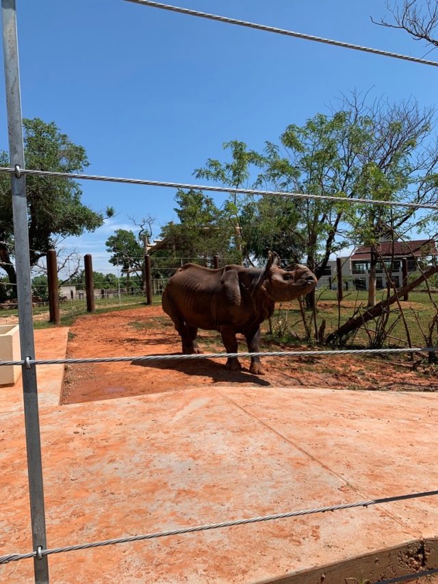 Top 15 Zoos In Texas (UPD +1) | Texas Travel Talk