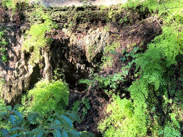 Texas Waterfalls In Dripping Springs & Beyond | Texas Travel Talk