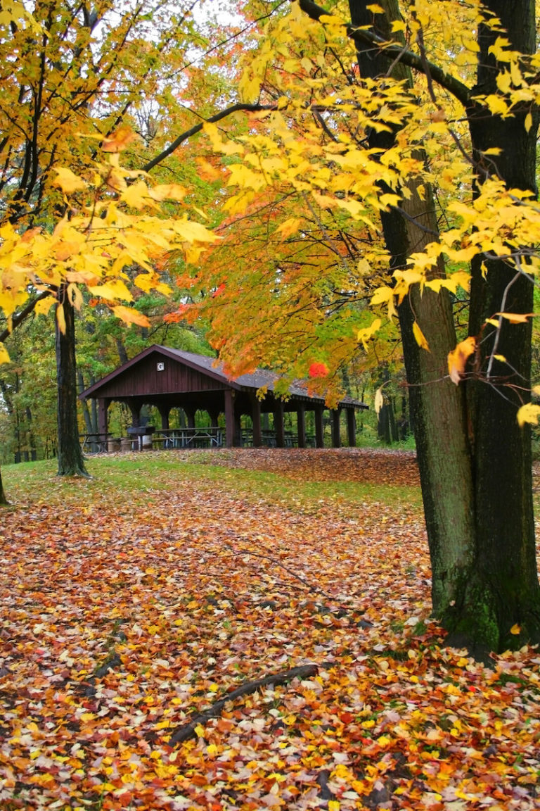Where to See Texas Fall Foliage (UPD) | Texas Travel Talk