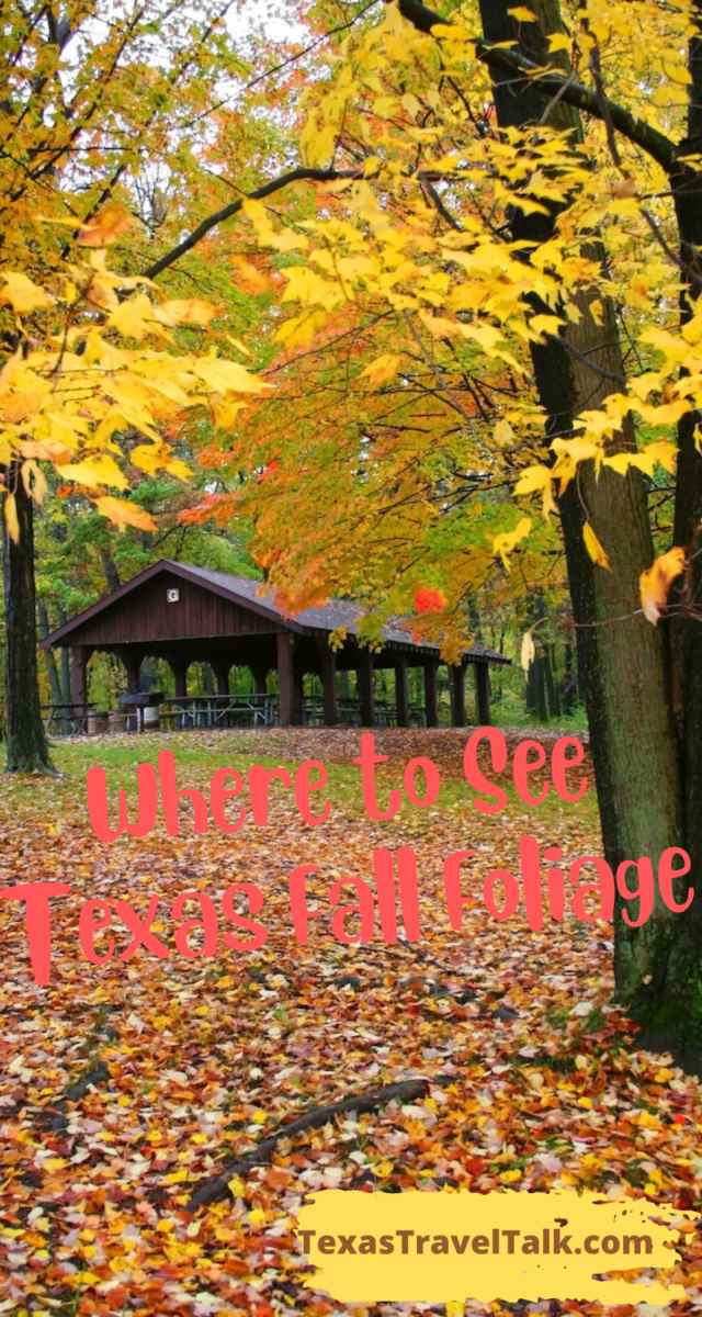 Where to See Texas Fall Foliage (UPD) | Texas Travel Talk