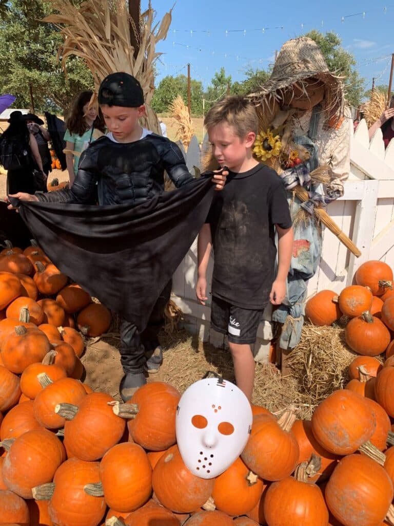 The Ultimate Texas Bucket List for March UPD 2025 | Texas Travel Talk