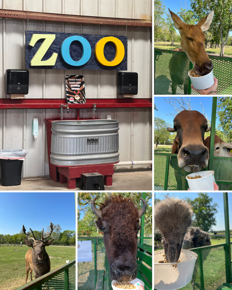 Fun Things To Do In Alvin, TX | Texas Travel Talk