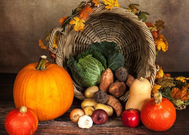25+ Family-Friendly Texas Fall Festivals 2024 2023 | Texas Travel Talk