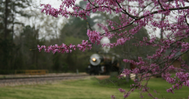 Top Scenic Train Rides In Texas | Texas Travel Talk