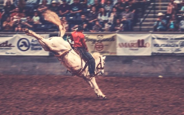 The Top 12+ Texas Rodeos in 2025 | Texas Travel Talk