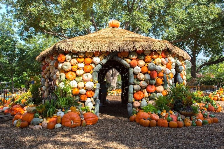 30+ Texas Fall Festivals & Events for 2025 | Texas Travel Talk
