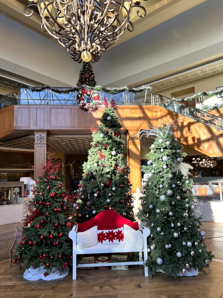 Hilton DFW Lakes Grapevine Review | Texas Travel Talk