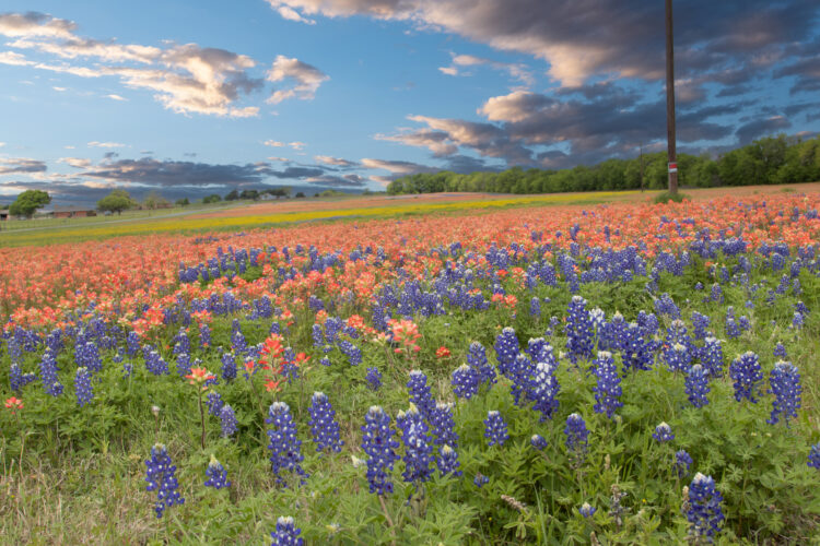 Family Things To Do In Texas In April (2025) | Texas Travel Talk