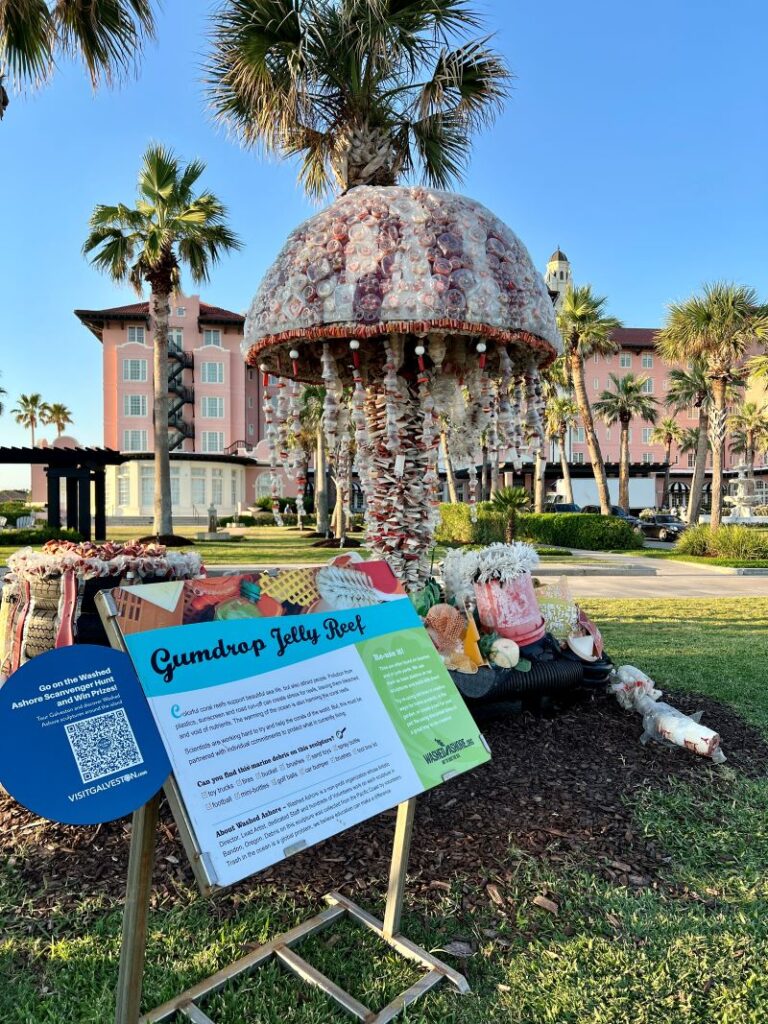 Grand_Galvez_Gumdrop_jelly_reef | Texas Travel Talk