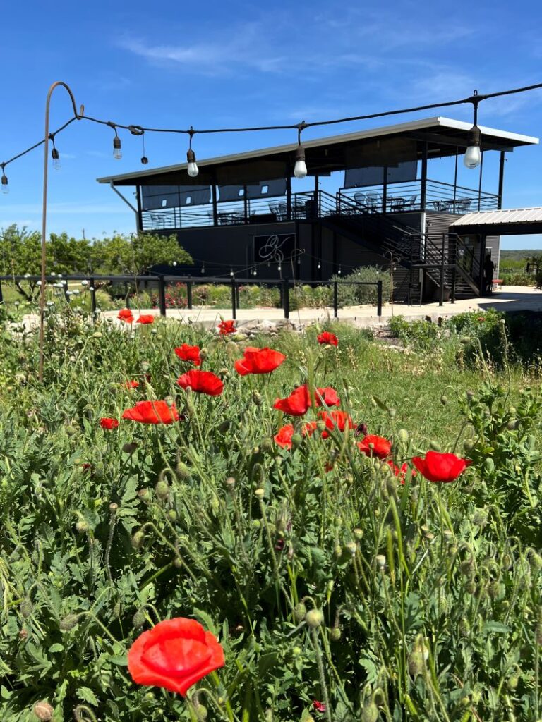 Best Time To Visit Texas: An April Travel Guide | Texas Travel Talk