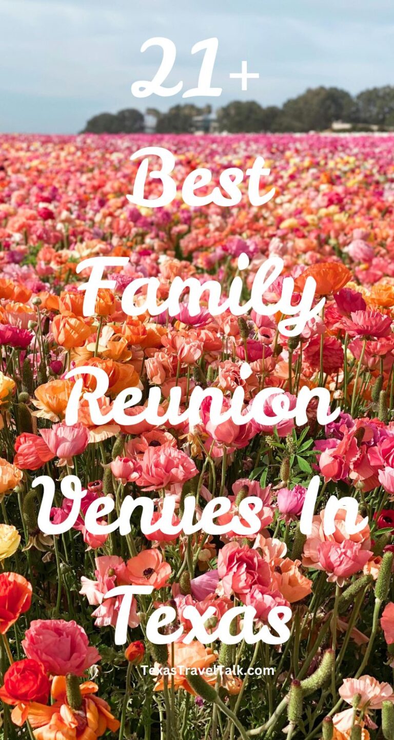 23 Best Family Reunion Venues In Texas | Texas Travel Talk