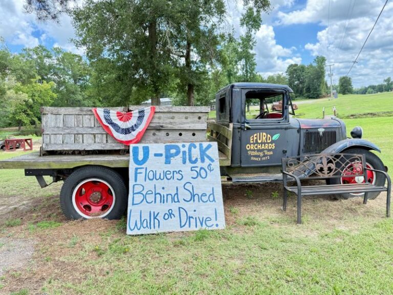 Top Attractions In Pittsburg, TX - Home To Many | Texas Travel Talk