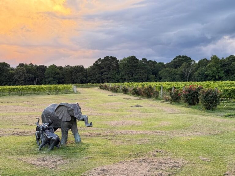 Top Attractions In Pittsburg, TX - Home To Many | Texas Travel Talk