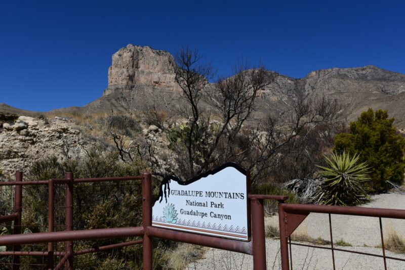 Visit This Less Crowded National Park in Texas for P&Q | Texas Travel Talk